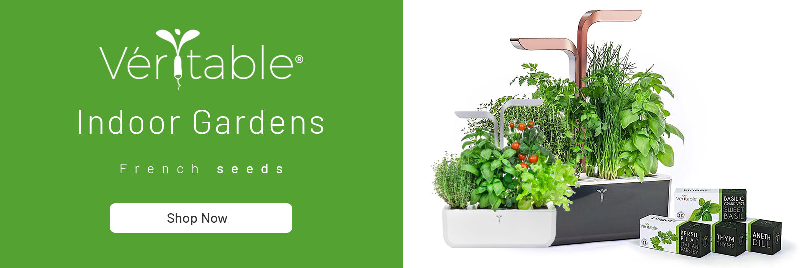 Flitit.com | Shop Online for Toys, Kitchen Appliances, Beauty, Gaming ...