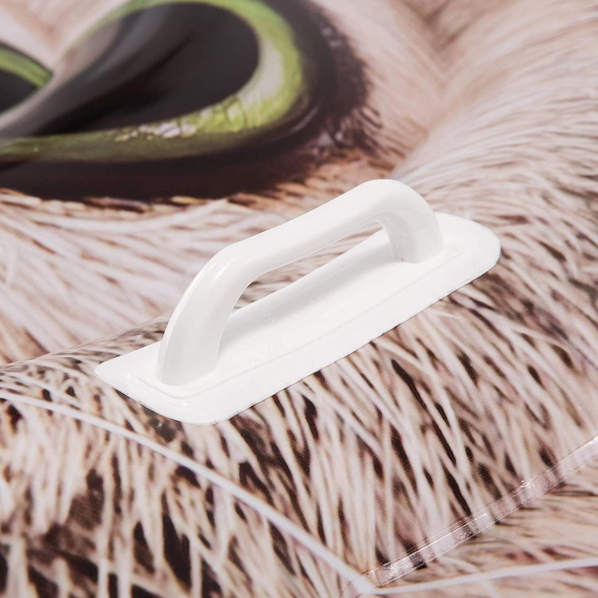 Intex Cat Face Island